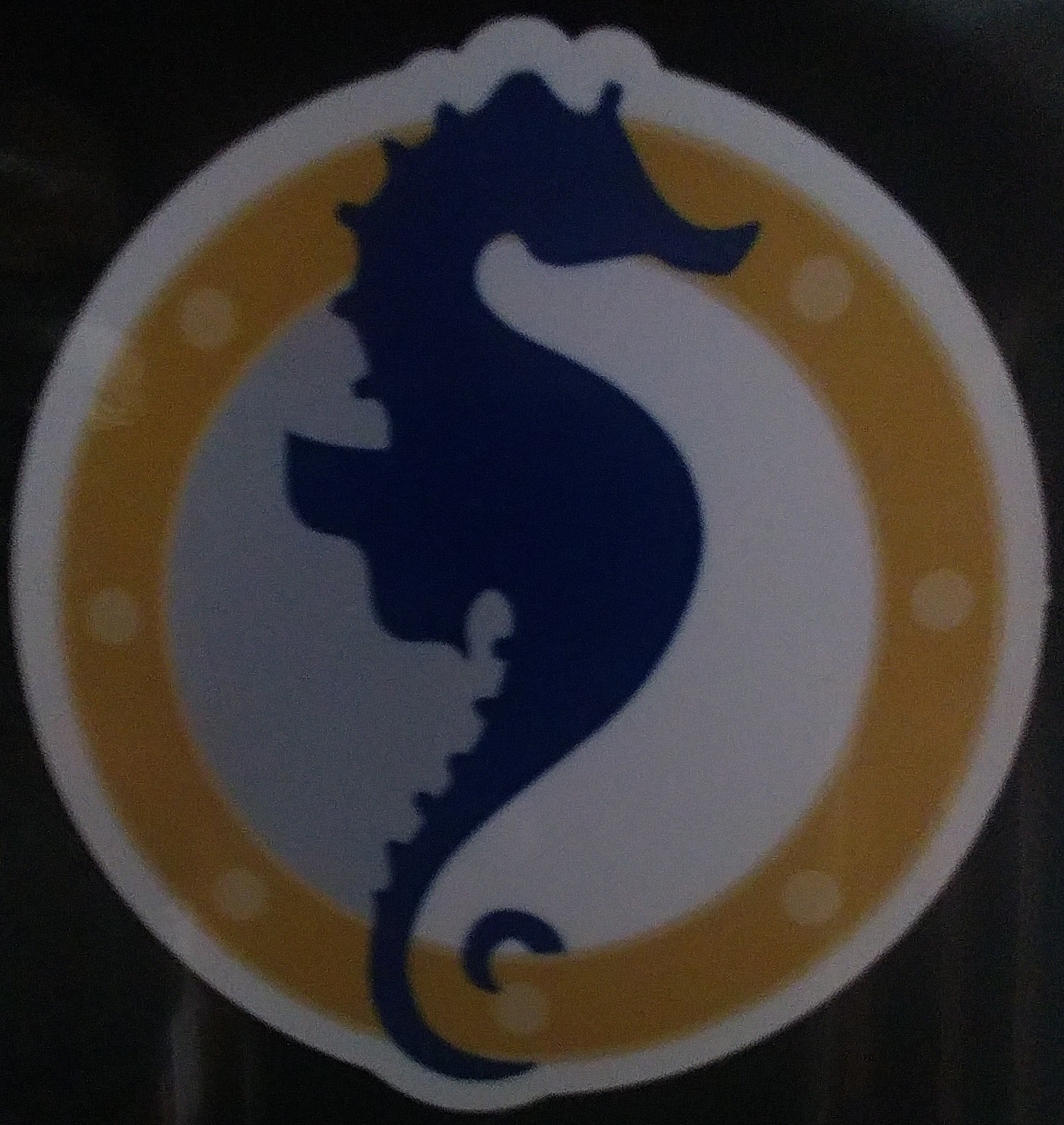 Seahorse Smart Fenders - BoatNation