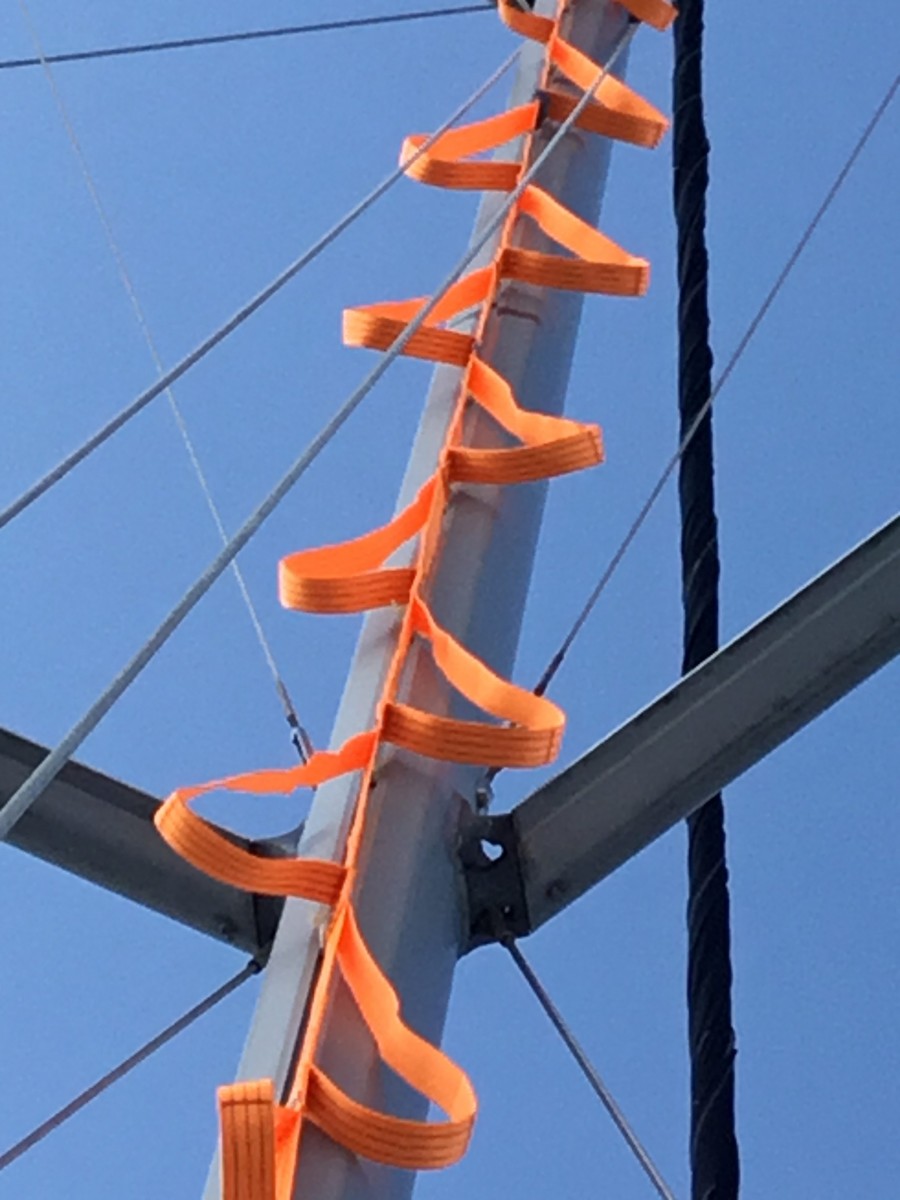 Mast Ladder 50 foot - BoatNation